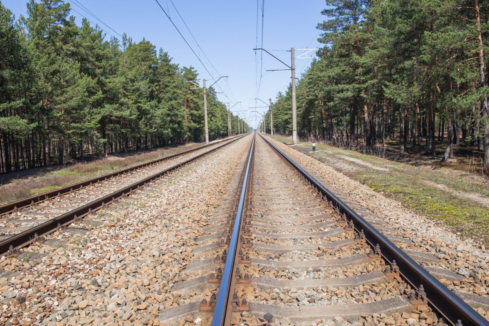 Rail Baltica design tender released for 60km section in Latvia - Rail UK
