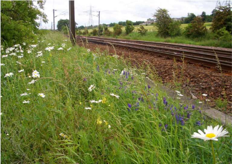 Network Rail publishes Environmental Sustainability Strategy - Rail UK