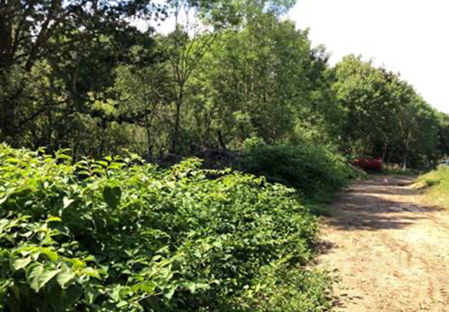 HS2 tackles biodiversity loss and reduces waste with new money-saving ...
