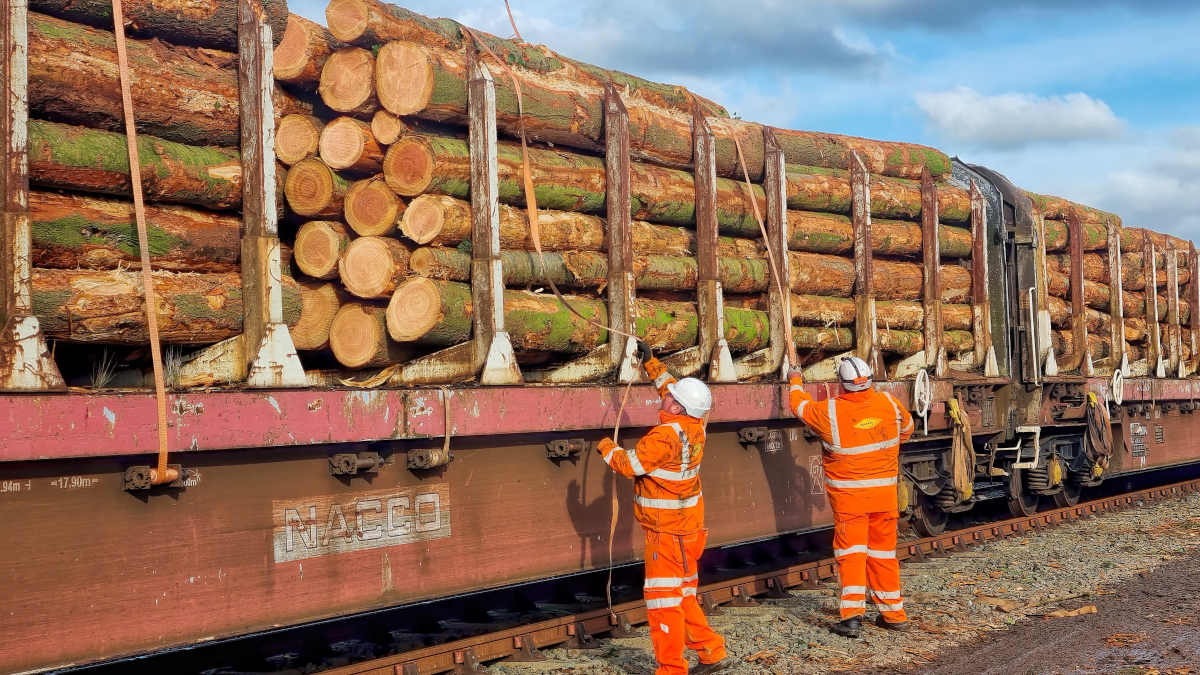 Timber freight train runs for first time since 2004 - Rail UK