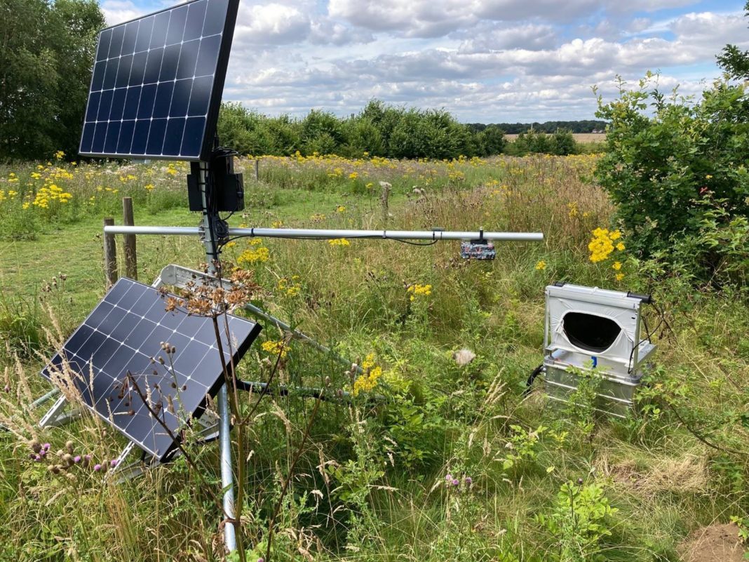 AI holds key to improving railside biodiversity - Rail UK