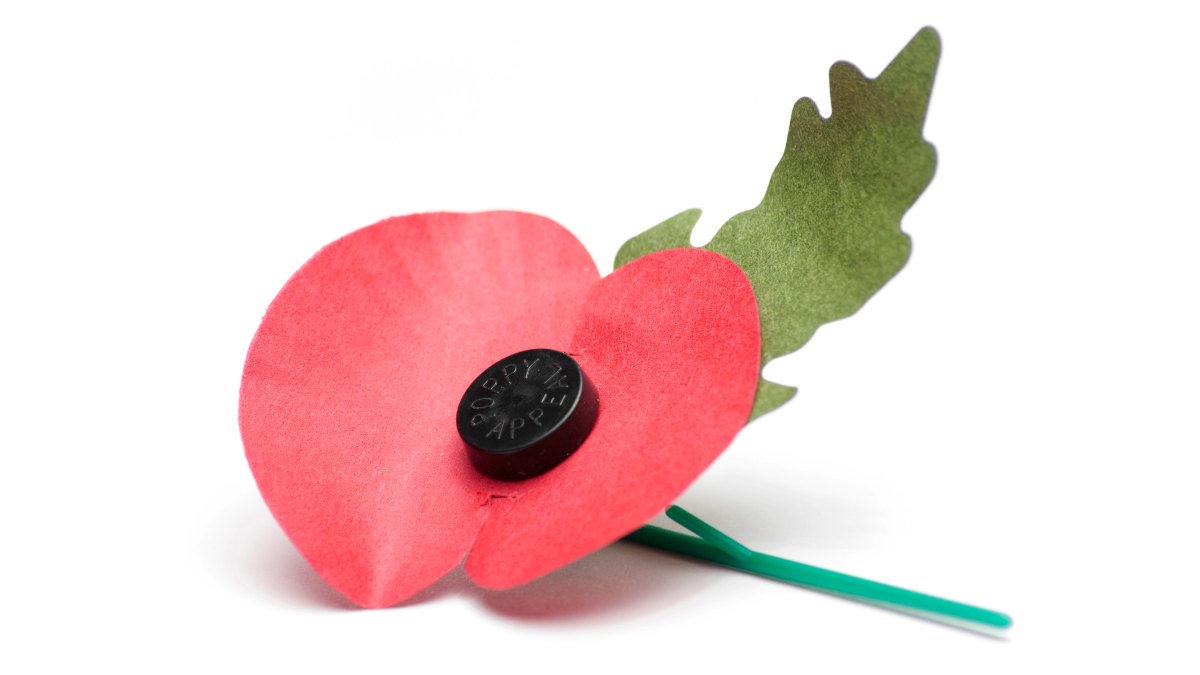 Live band in full swing at Leeds station on Poppy Day - Rail UK
