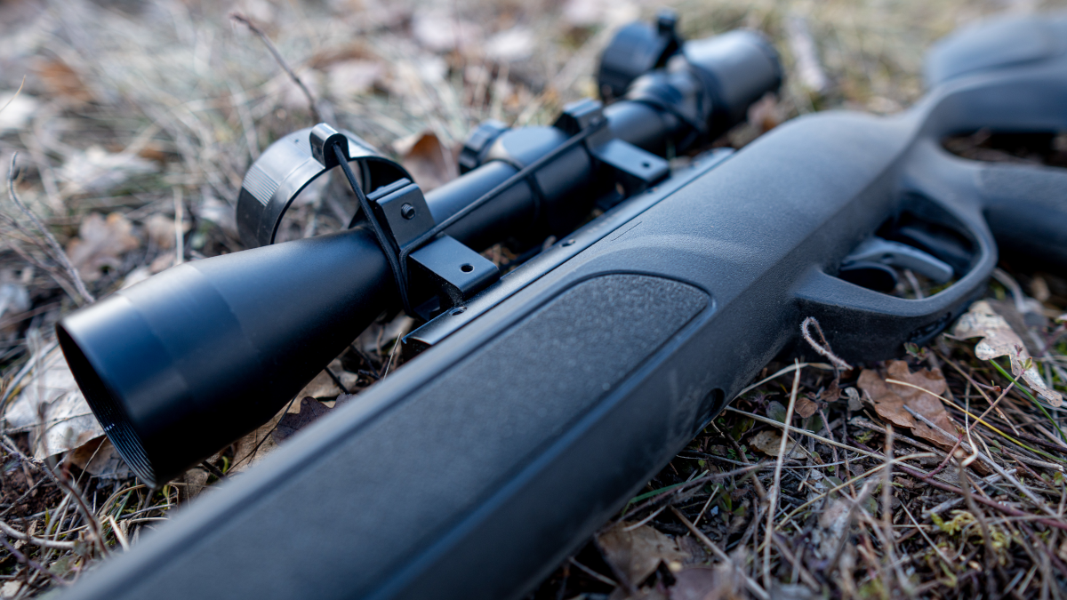 Northern offers £1,000 reward for information on air gun attacker - Rail UK