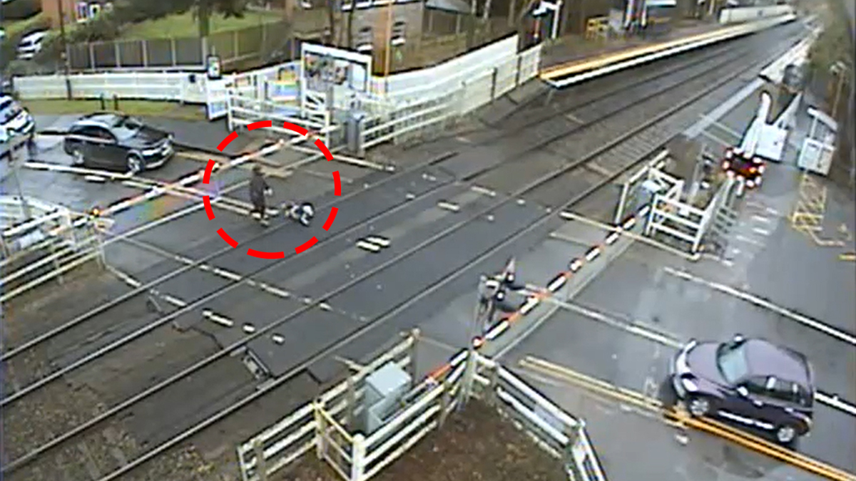 Shocking CCTV footage catches dog walker's level crossing misuse - Rail UK