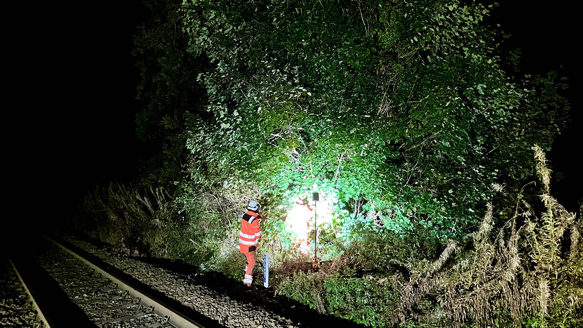 Network Rail getting ready for Autumn and has plans to reduce leaf-fall ...