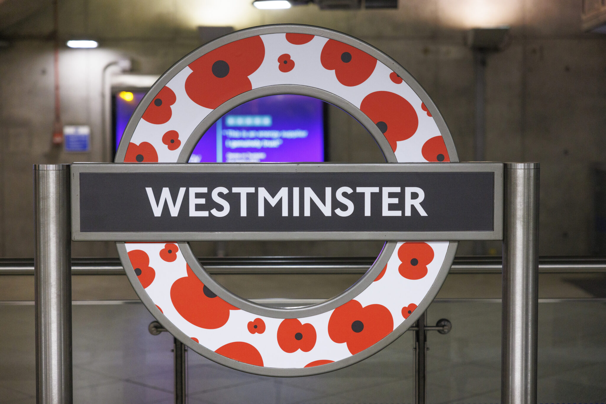 Comedian and musician Bill Bailey and actor and author Ross Kemp to ...