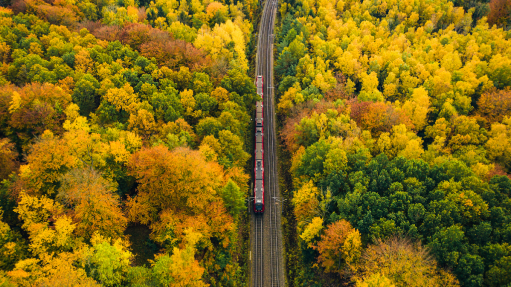 RSSB launches new sustainability reporting platform - Rail UK