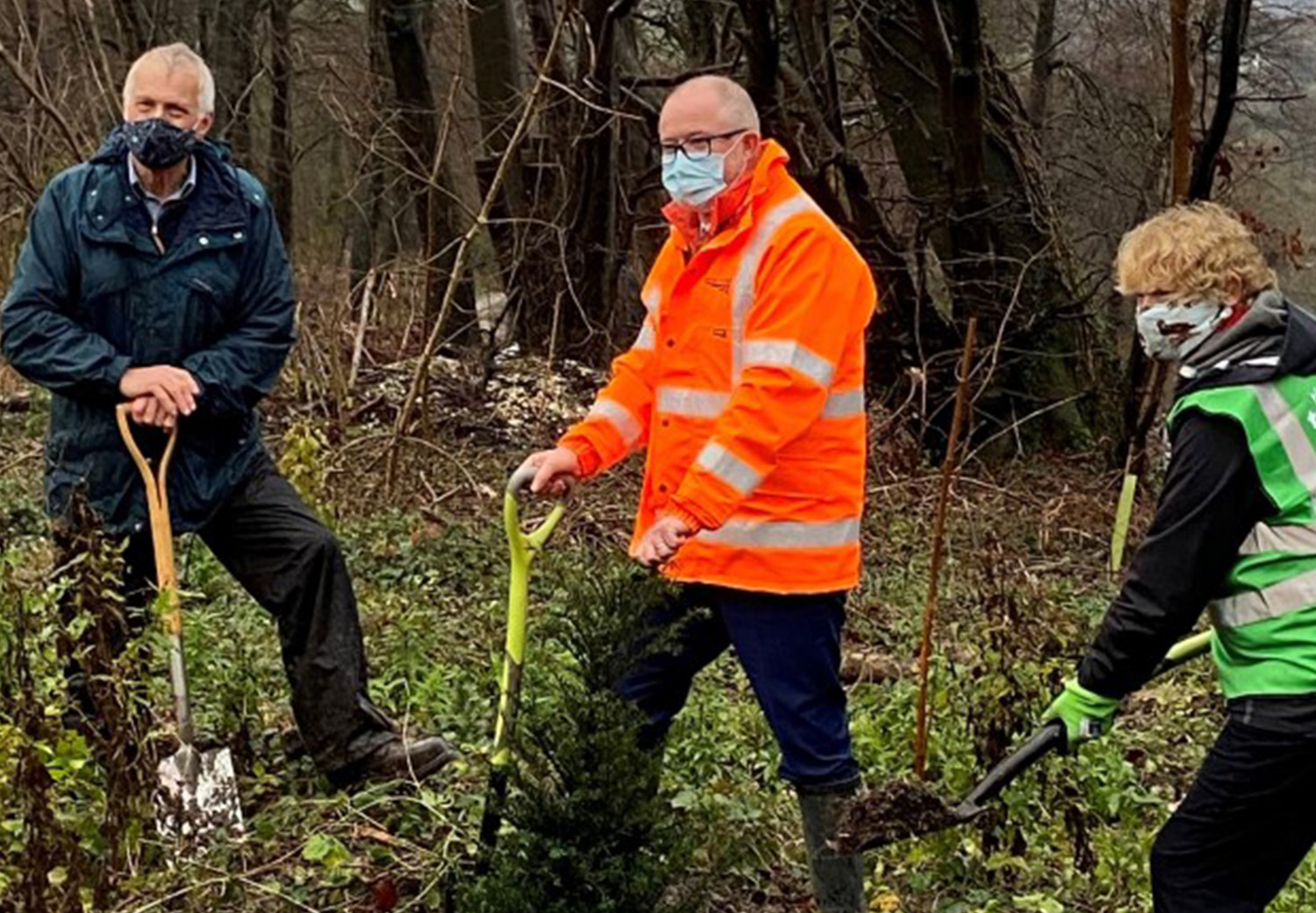 Network Rail is planting thousands of trees around the country - Rail UK